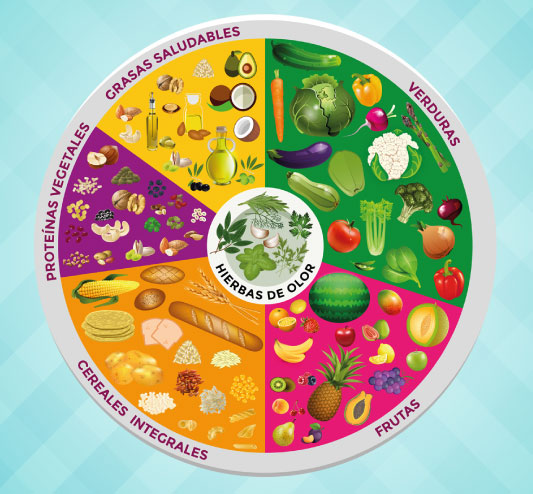 Grupos básicos de alimentos